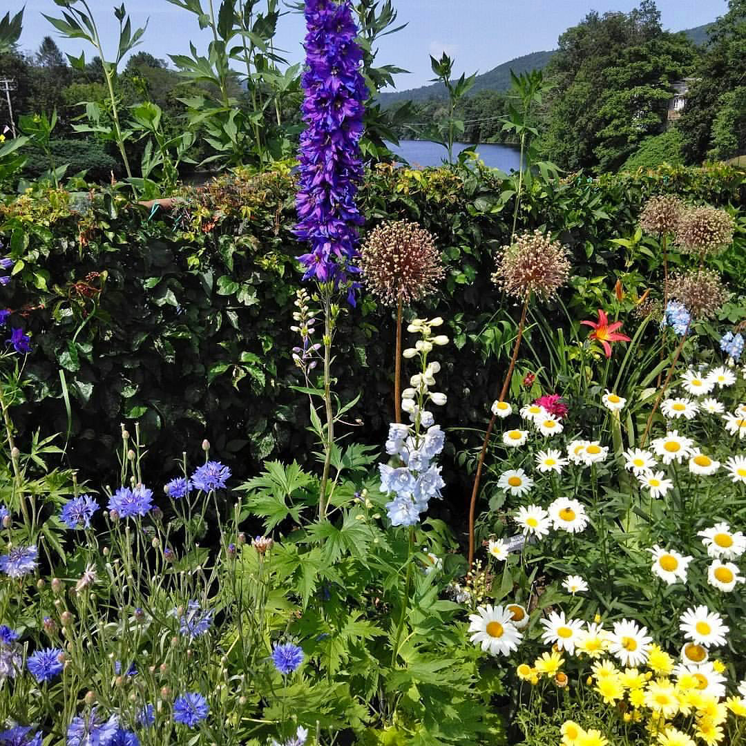 Pollen & Stone – Creating peaceful spaces for busy people